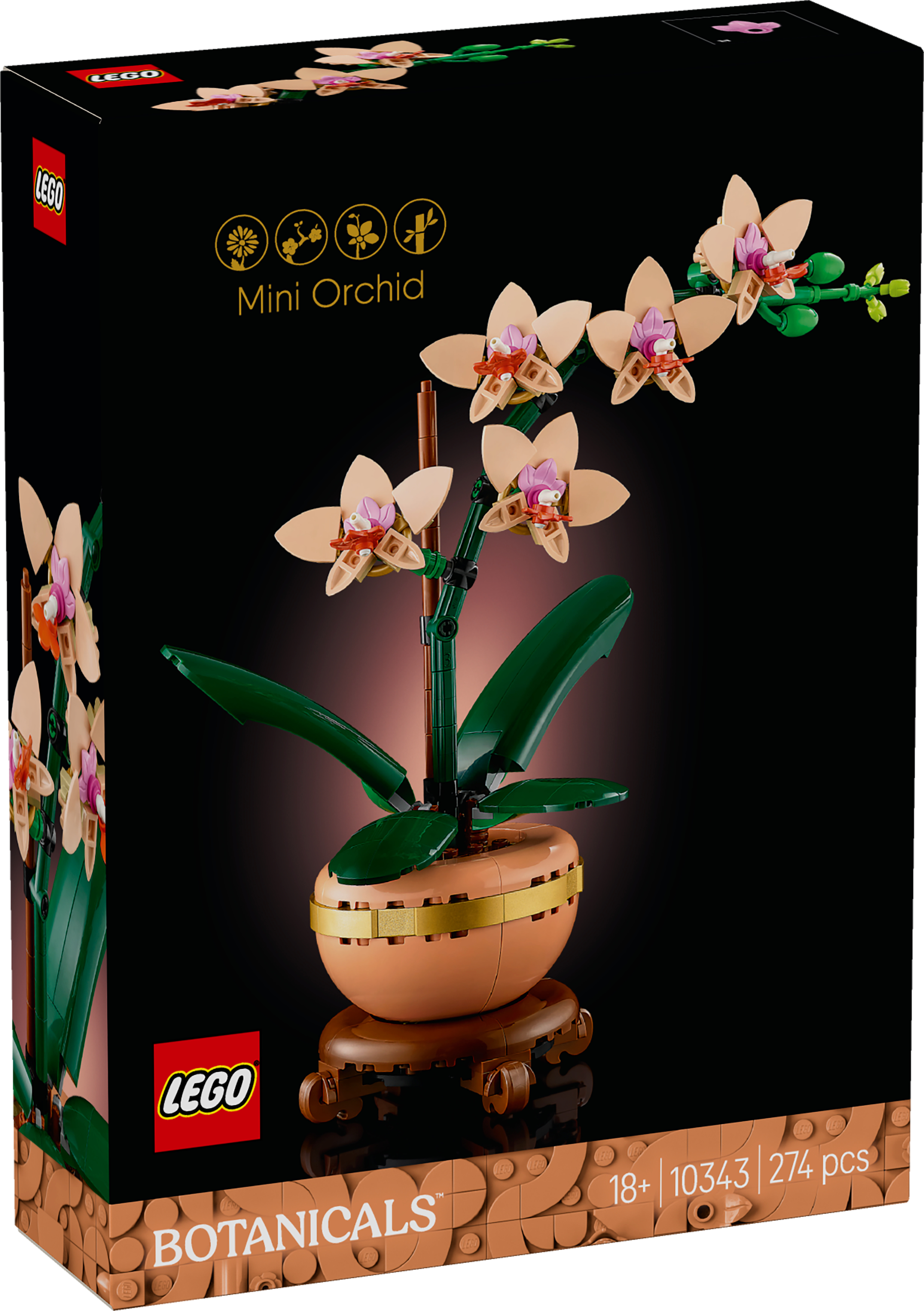 Miniatyrorkidé 10343